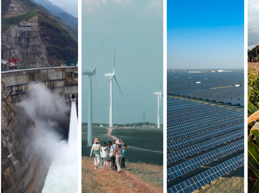 Services - Renewable.Vision